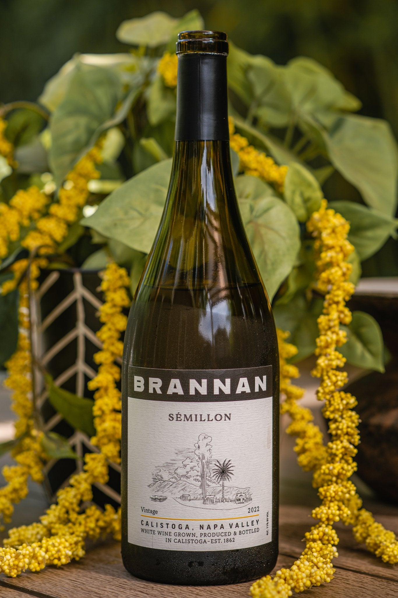 Brannan Wines Semillon 2022 | Sam's General Store